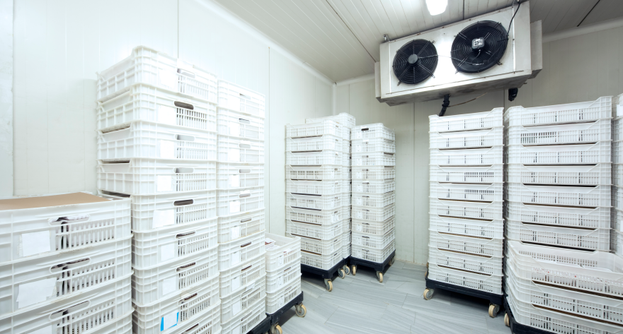 Gallery - Tempest Engineering